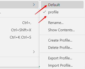 VSCode portable mode does not work when move udisk to another computer ...