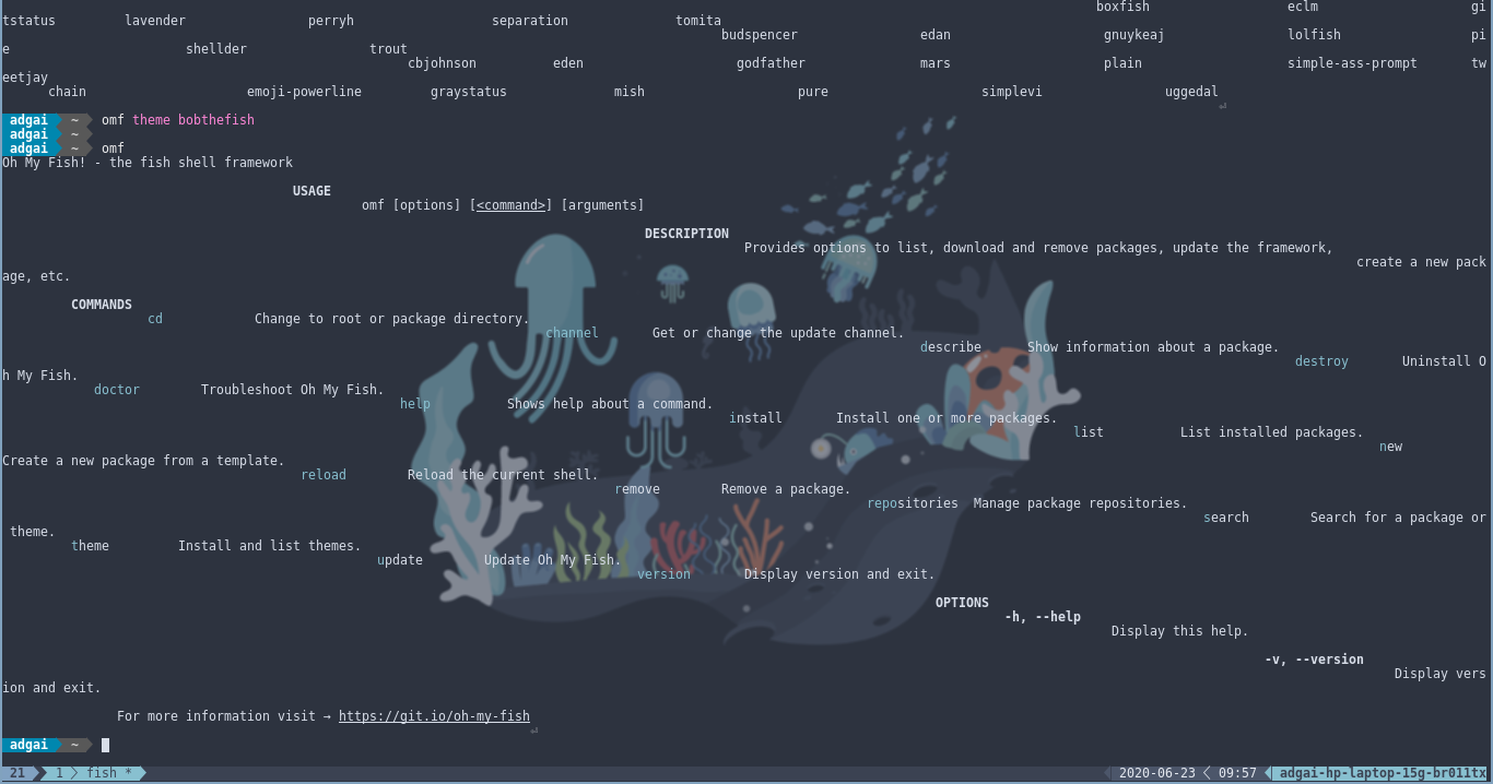 Broken output after installation · Issue #766 · oh-my-fish/oh-my-fish ...