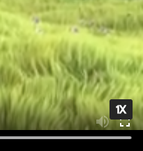 Improvements in the UI · Issue #190 · coding-blocks/codingblocks.online.projectx · GitHub