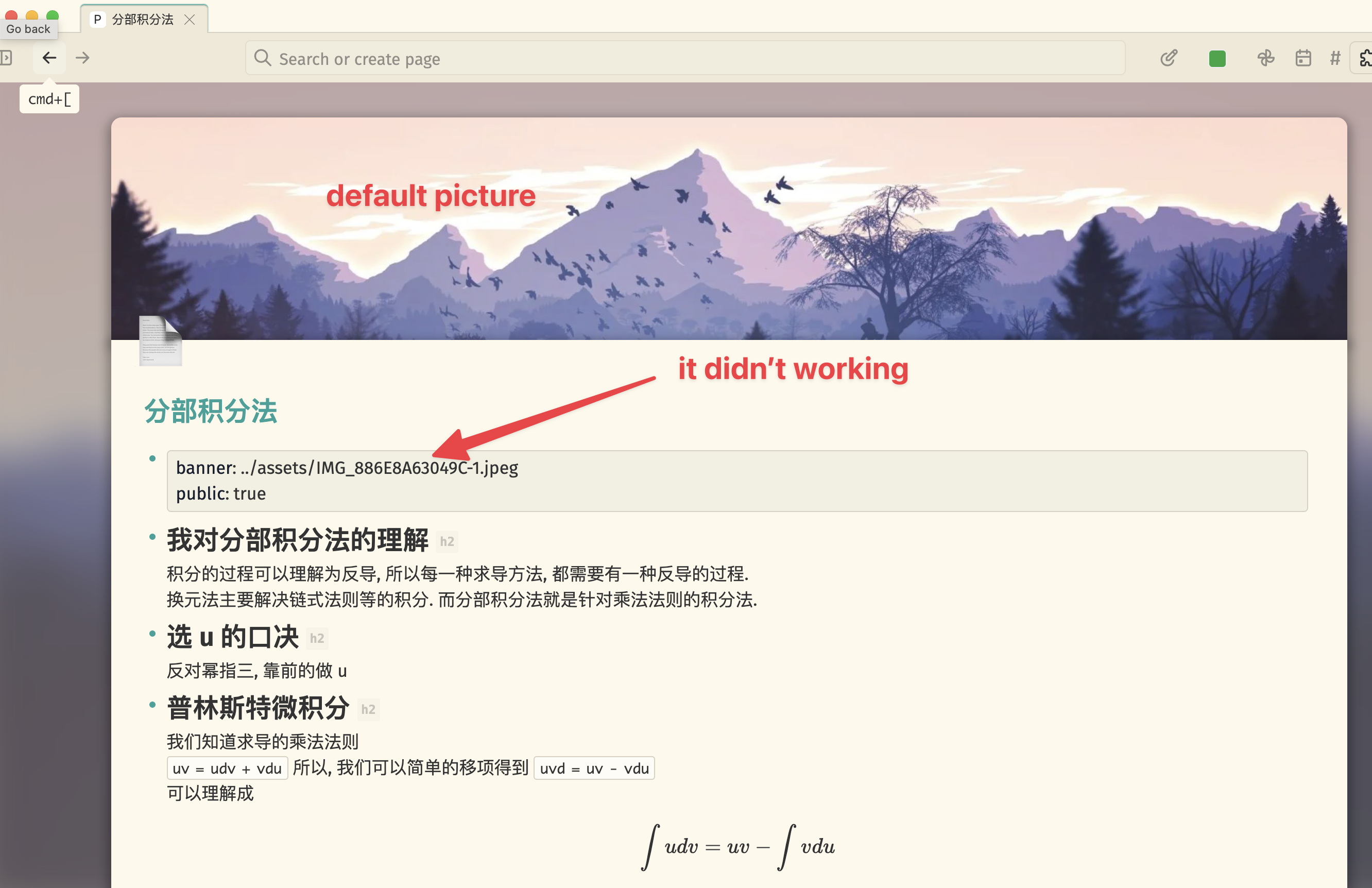 Could load local banner picture? · Issue #12 · yoyurec/logseq-banners-plugin · GitHub