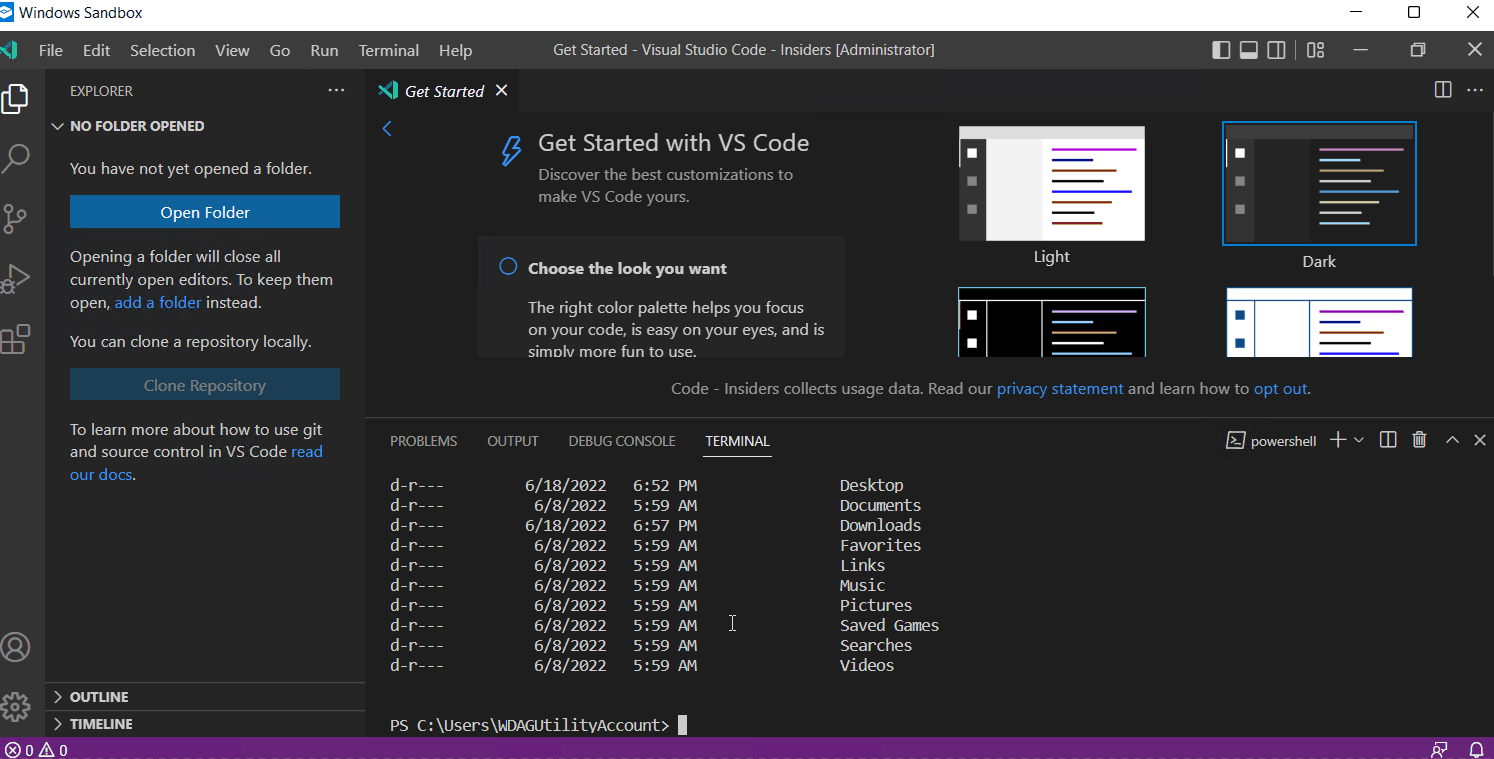 After maximize terminal panel size, some text disappeared from the ...