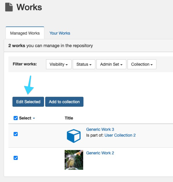 Batch editing Works throws error · Issue #185 · notch8/palni-palci · GitHub