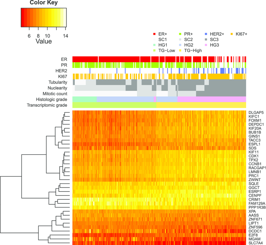 Heatmaps with multiple metadata annotations · Issue #1516 · satijalab/seurat · GitHub