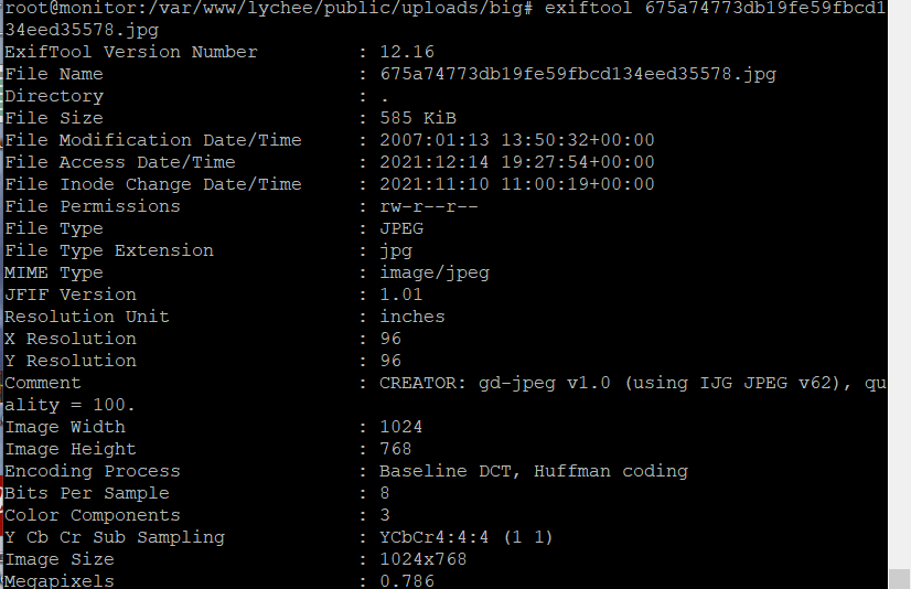 Exported picture is missing EXIF info · Issue #1171 · LycheeOrg/Lychee · GitHub