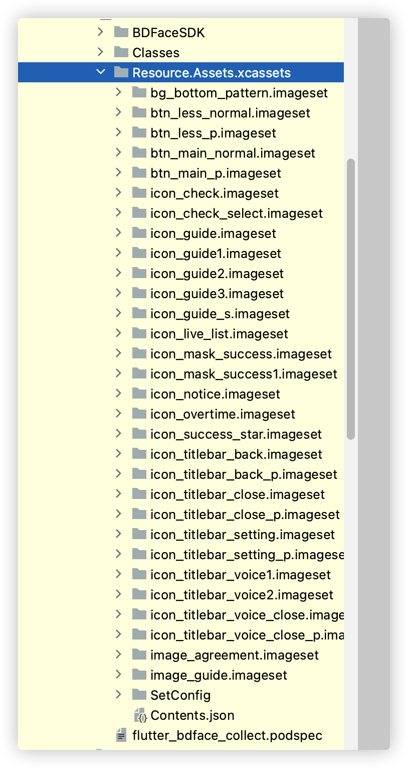 ios 插件覆盖ios的appicon · Issue #7 · fluttercandies/flutter_bdface_collect · GitHub