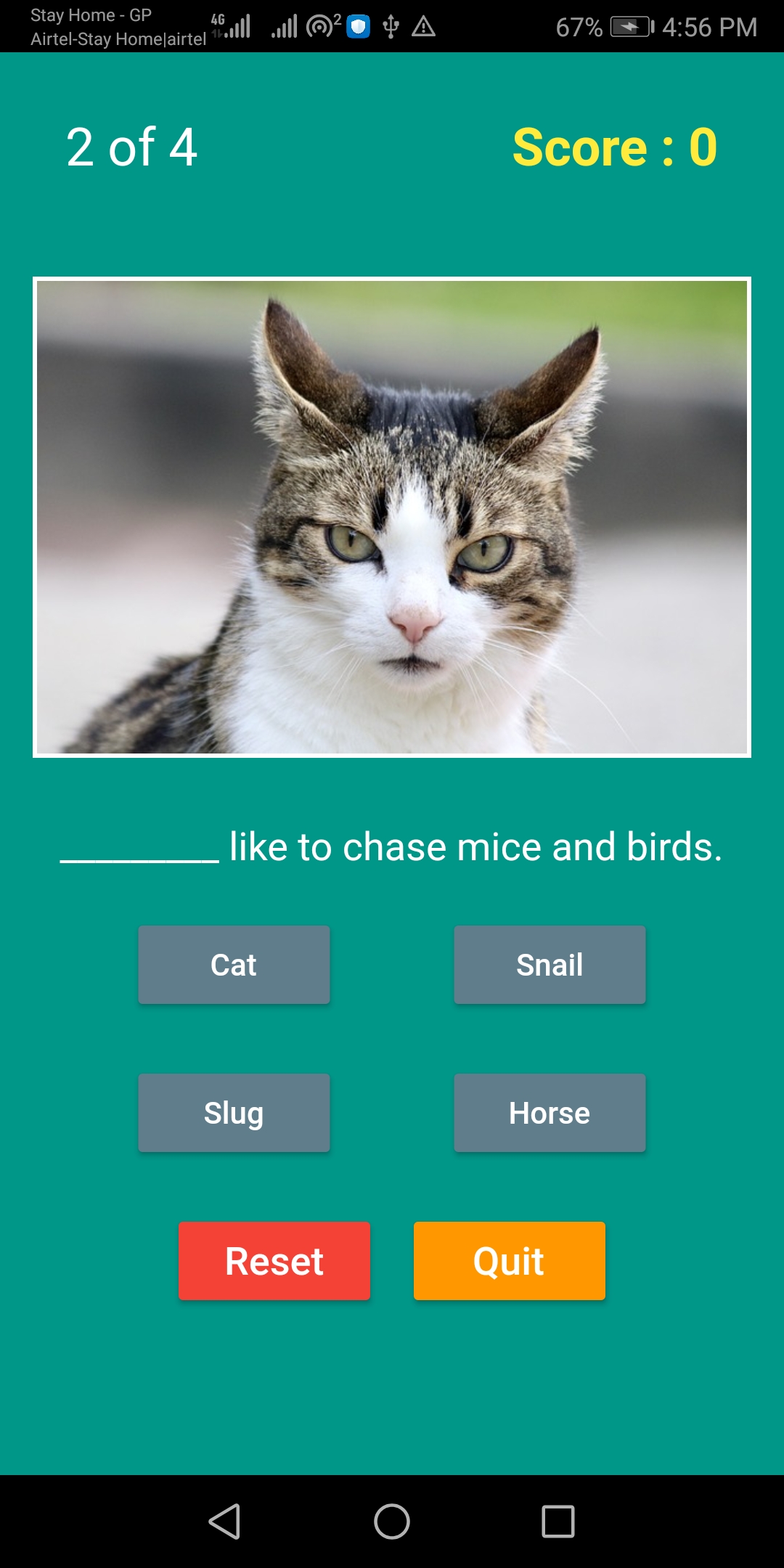 GitHub - jpmehedi/flutter-multiple-quiz-app