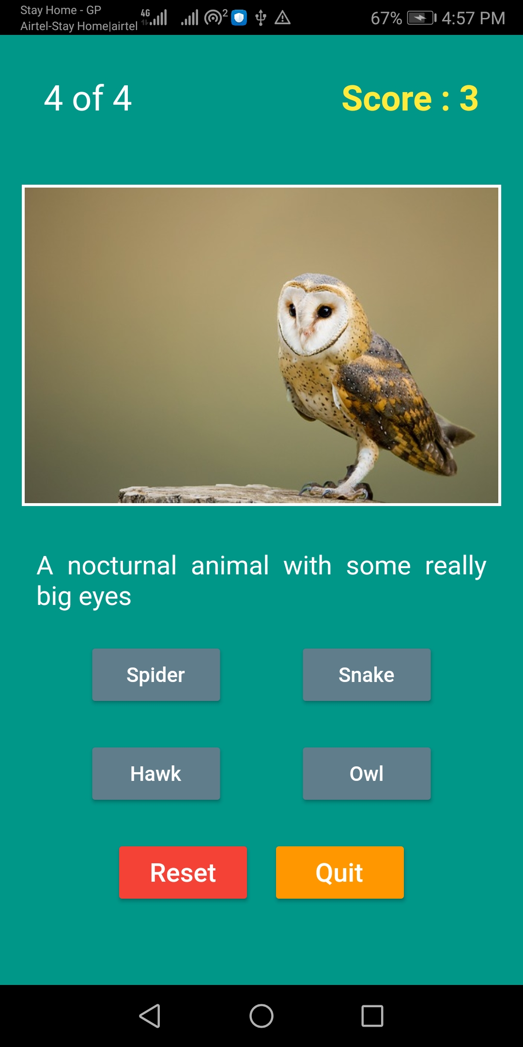 GitHub - jpmehedi/flutter-multiple-quiz-app