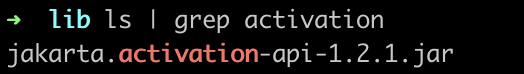 Javalangnoclassdeffounderror Comsunactivationregistrieslogsupport Critical Issue · Issue