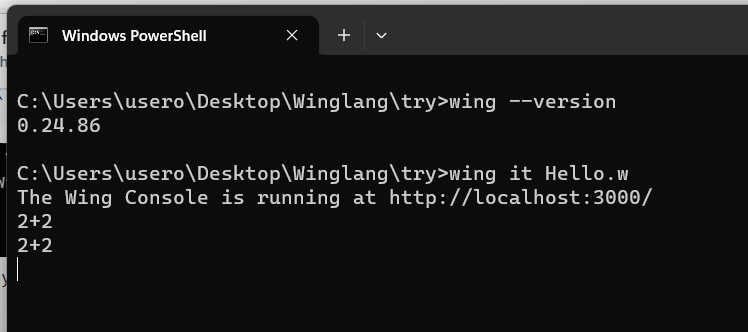 log function logs to console twice · Issue #3698 · winglang/wing · GitHub