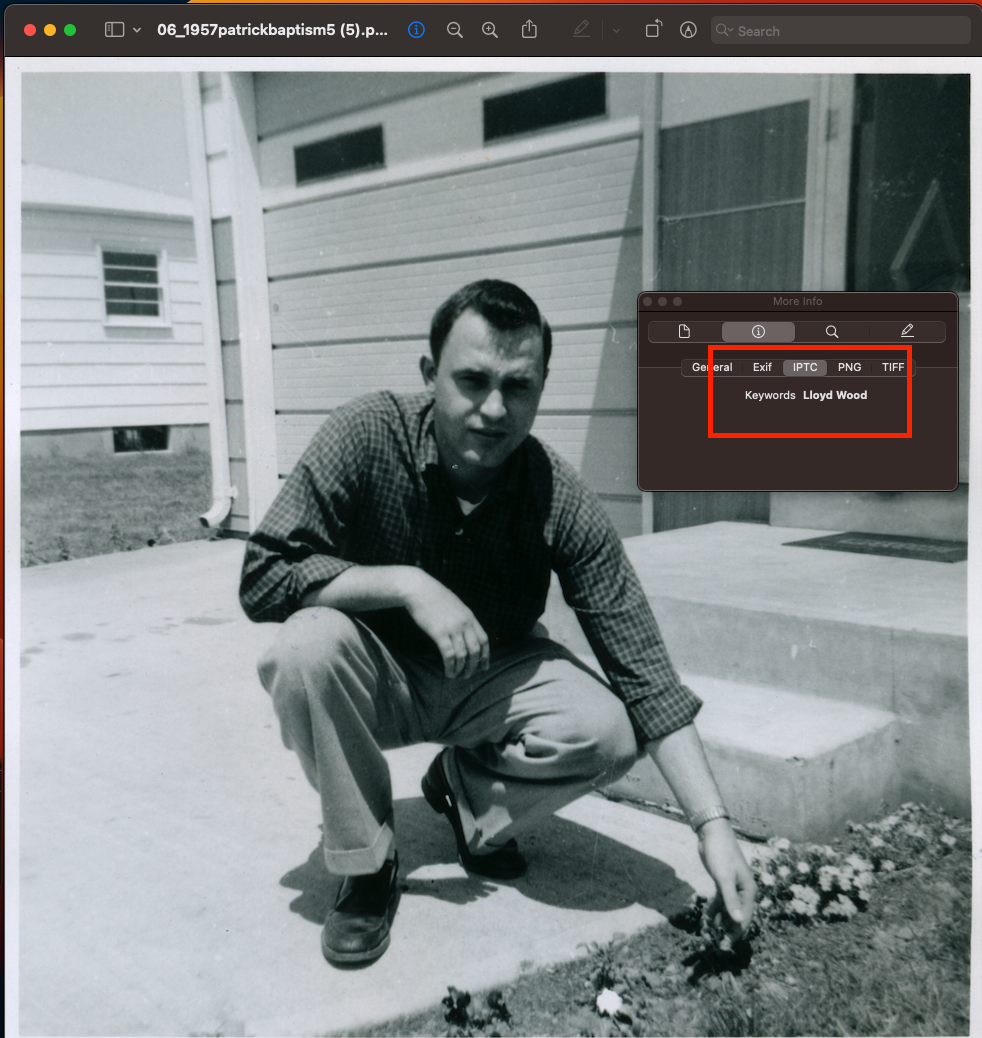 Tags/ Keywords Do Not Appear · Issue #1651 · LycheeOrg/Lychee · GitHub