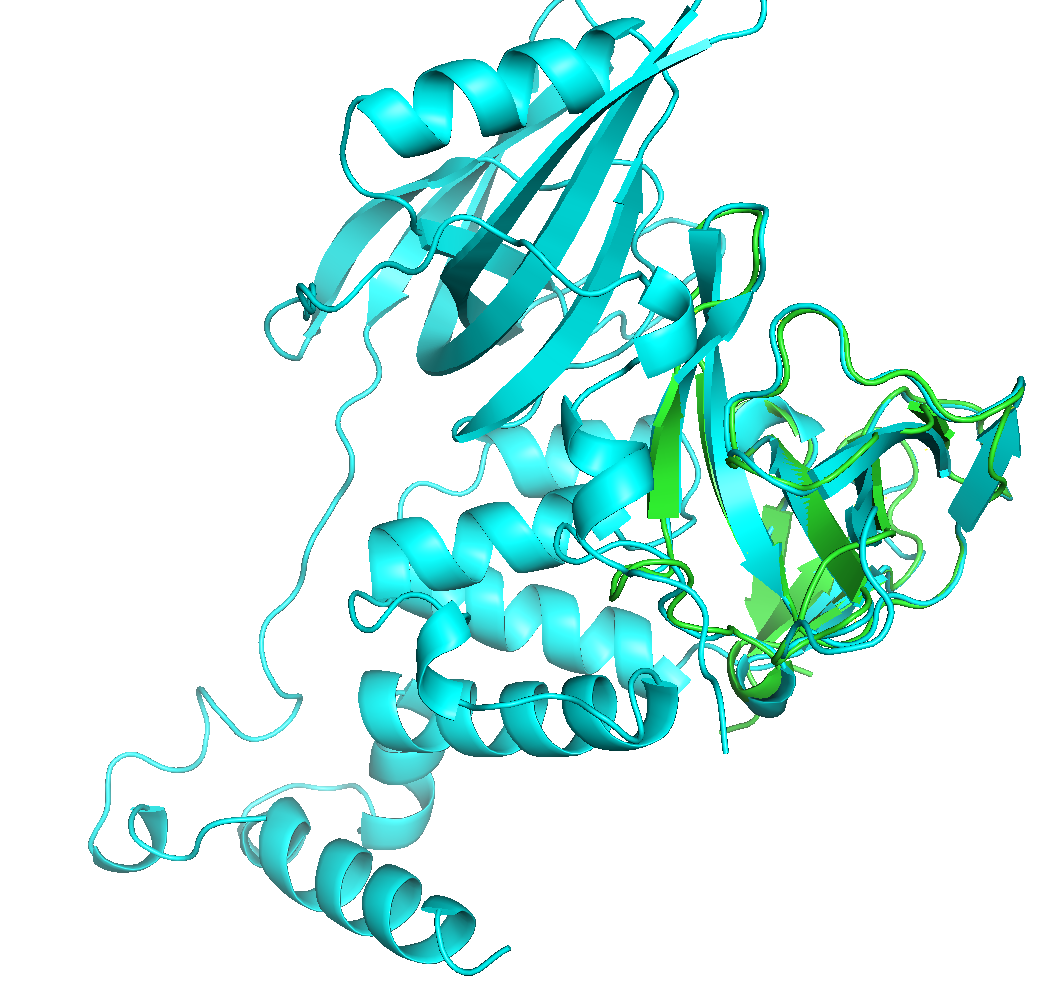 prody align and alignPDBEnsemble · Issue #665 · prody/ProDy · GitHub