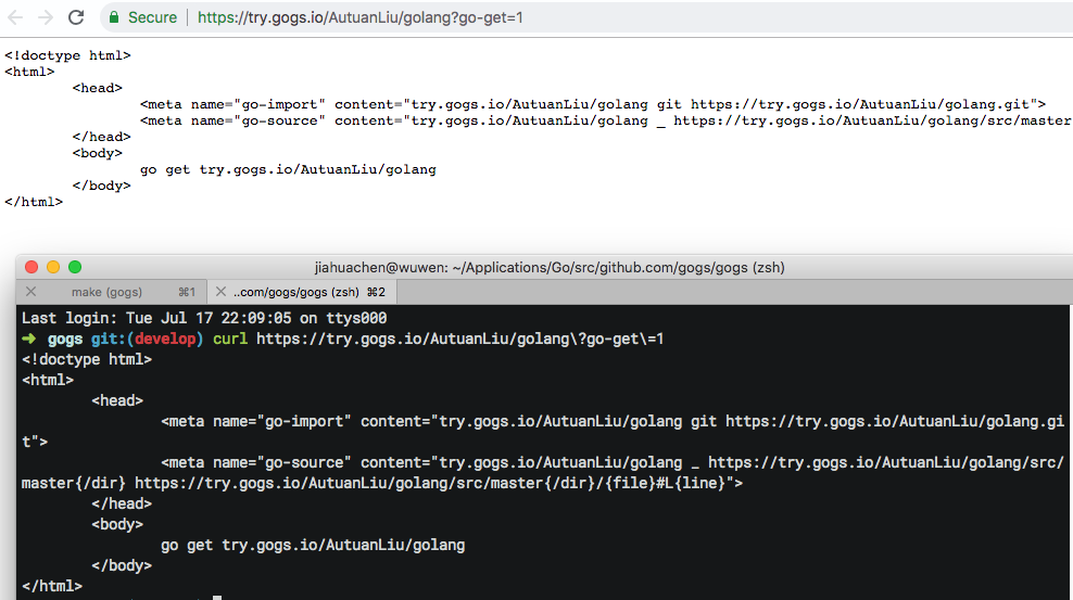 Not able to go get a repository with non-80 port · Issue #5305 · gogs/gogs · GitHub