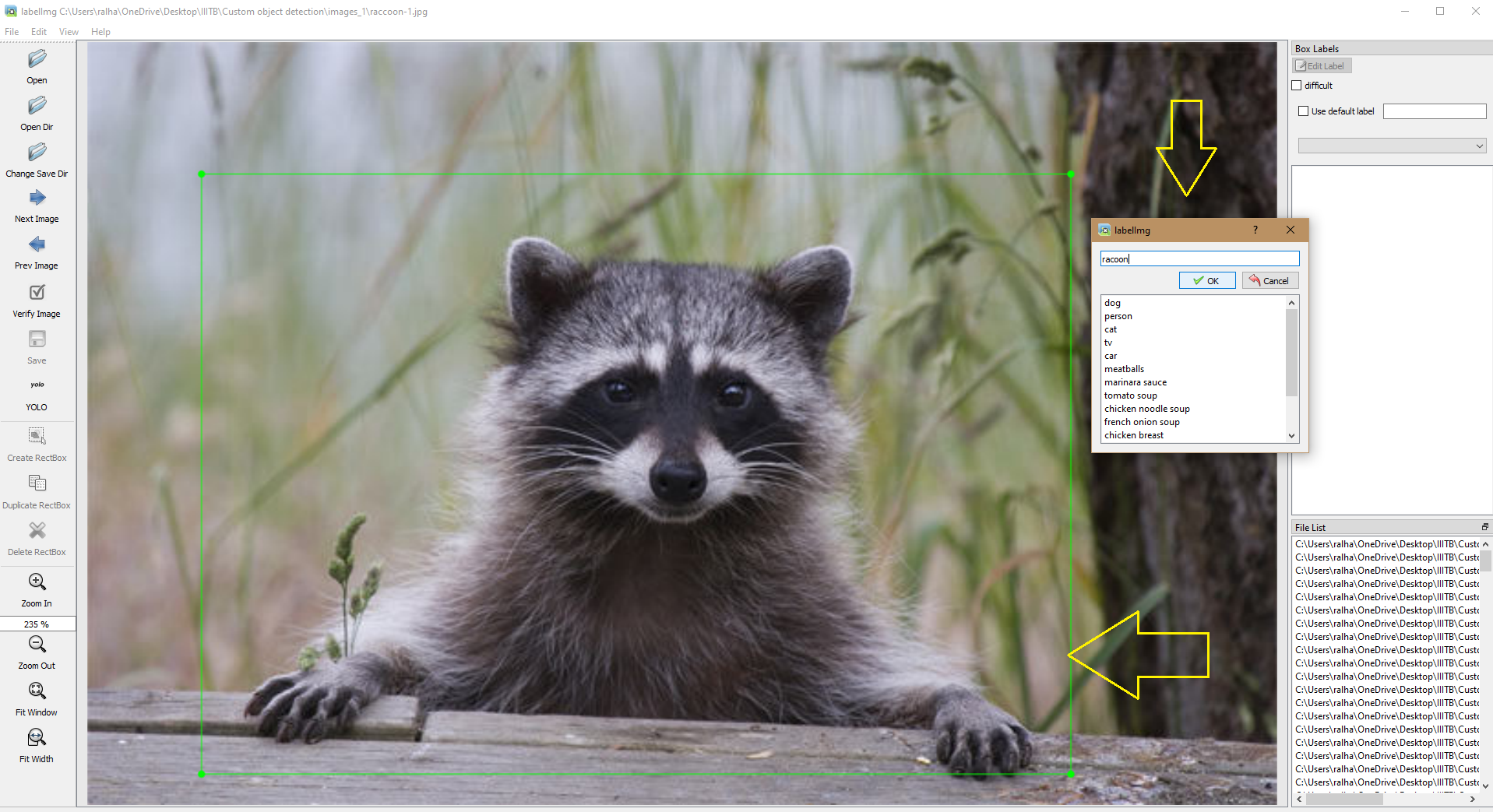 GitHub - prateekralhan/Custom-object-detection-using-YOLOv3