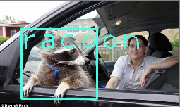 GitHub - prateekralhan/Custom-object-detection-using-YOLOv3