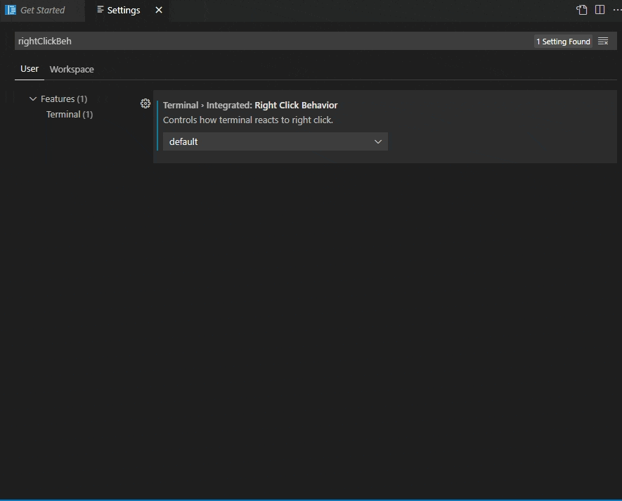 when terminal is moved from panel to editor area, it doesn't have an ...