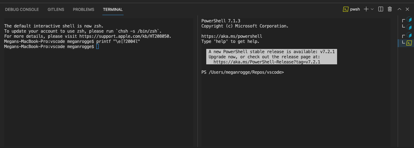 when terminal default location is editor, terminals in the view have ...