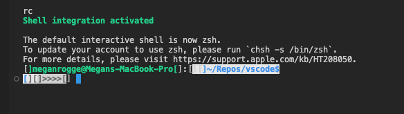 VS Code terminal confused with custom bash prompt · Issue #144400 ...