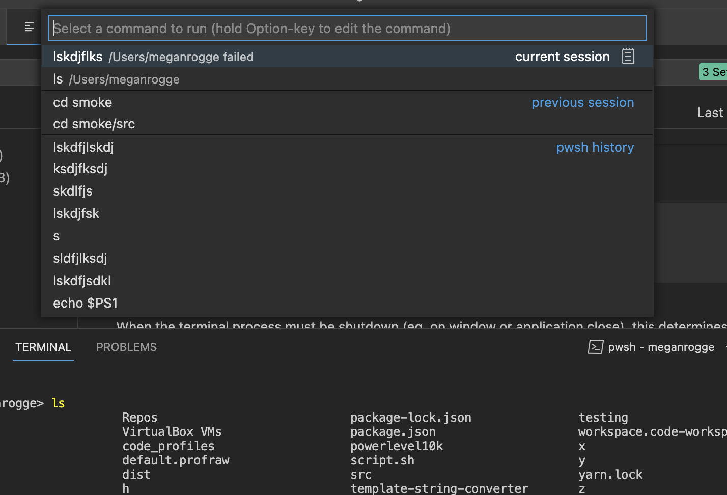 `previous session` commands are still shown when ...