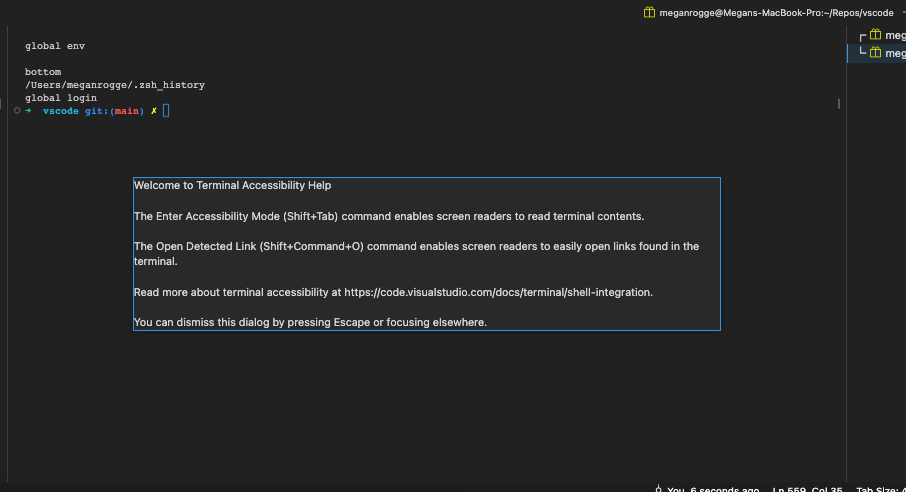 Terminal Accessibility Help dialog stretches from bottom of terminal panel · Issue #172344 ...
