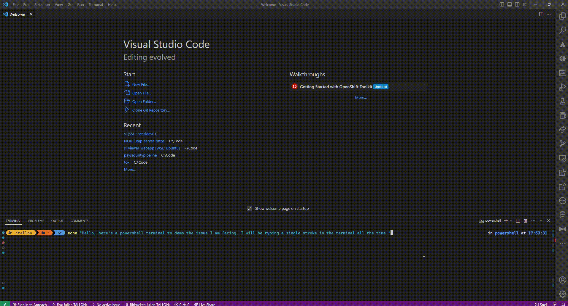 integrated-terminal-view-toggle-maximized-panel-leads-to-duplicate