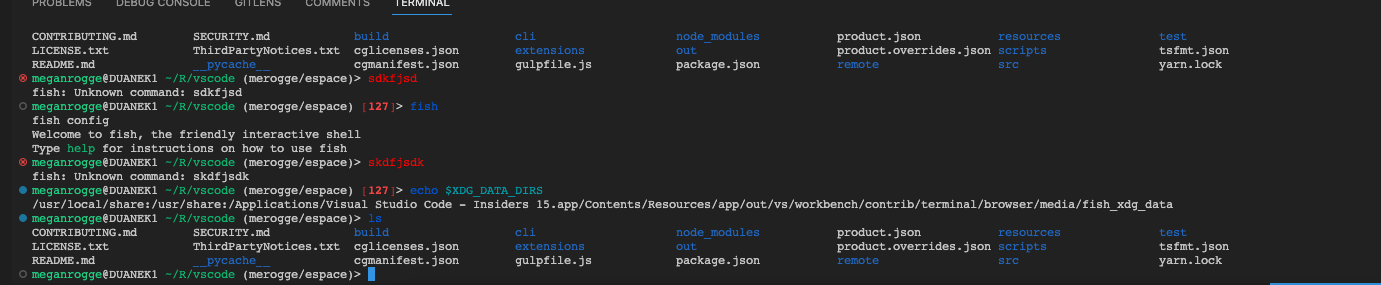 Support fish shell integration automatic injection · Issue #139400 · microsoft/vscode · GitHub