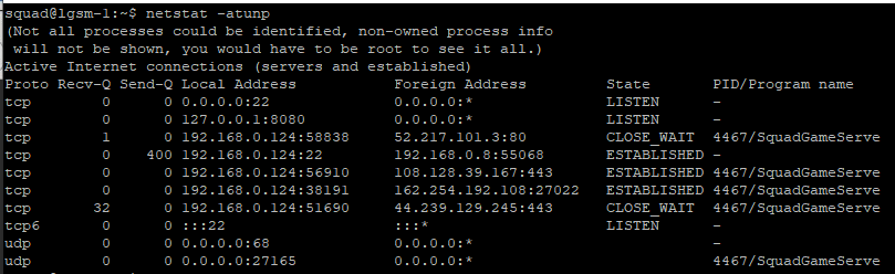 [BUG] Squad Server Netstat Command Incorrect · Issue #3473 · GameServerManagers/LinuxGSM · GitHub