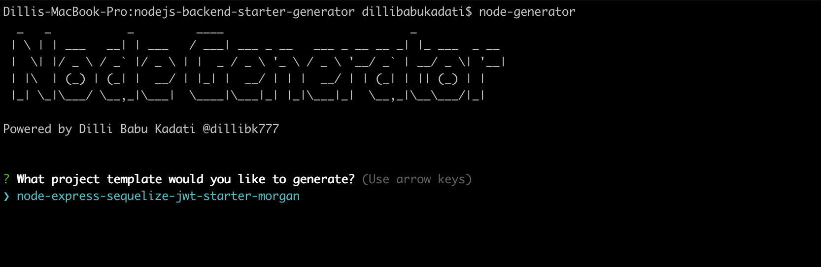 GitHub - dillibabukadati/nodejs-backend-starter-generator
