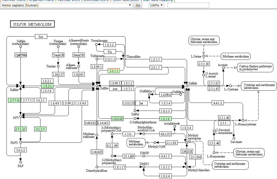 KEGG pathview visualization · Issue #115 · vloux/ProteoRE · GitHub