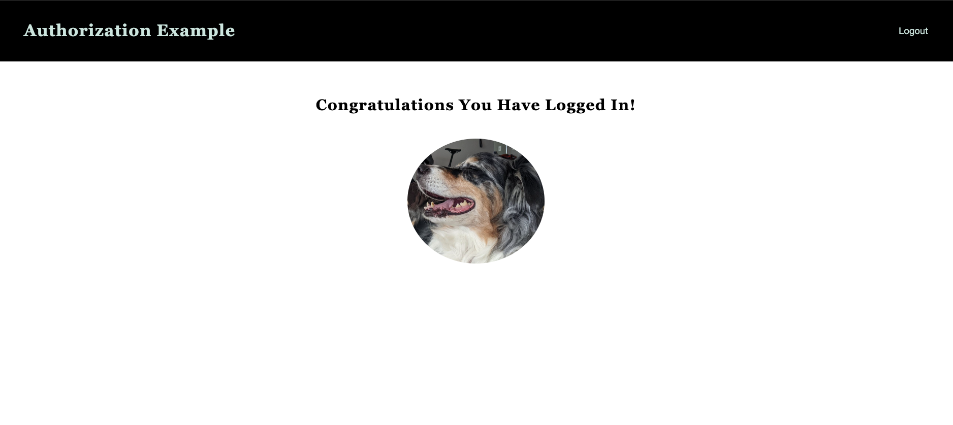 Github Bmrobbinsauthorization Example A Single Page React App To Simulate Logging In A User