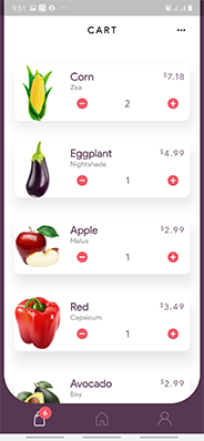 GitHub - gettoknowdavid/fruts