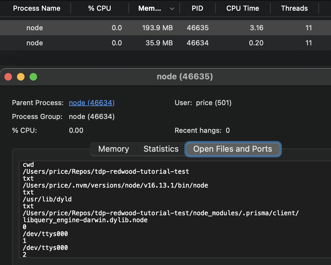`rw deploy render api` command results in 2x running processes and > 500MB mem usage