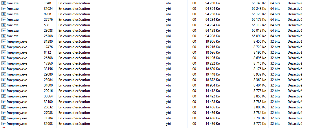 Licences FME lors de multiples traitements identiques [redmine:22022 ...