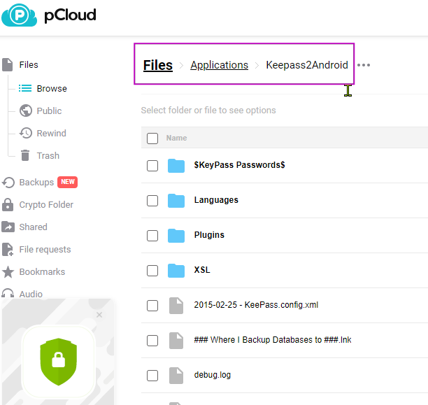 pCloud Support - Empty Root folder · Issue #796 · PhilippC/keepass2android · GitHub