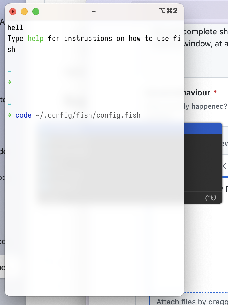 Iterm Fig Appears Under The Floating Hotkey Window · Issue 2271 · Withfigfig · Github