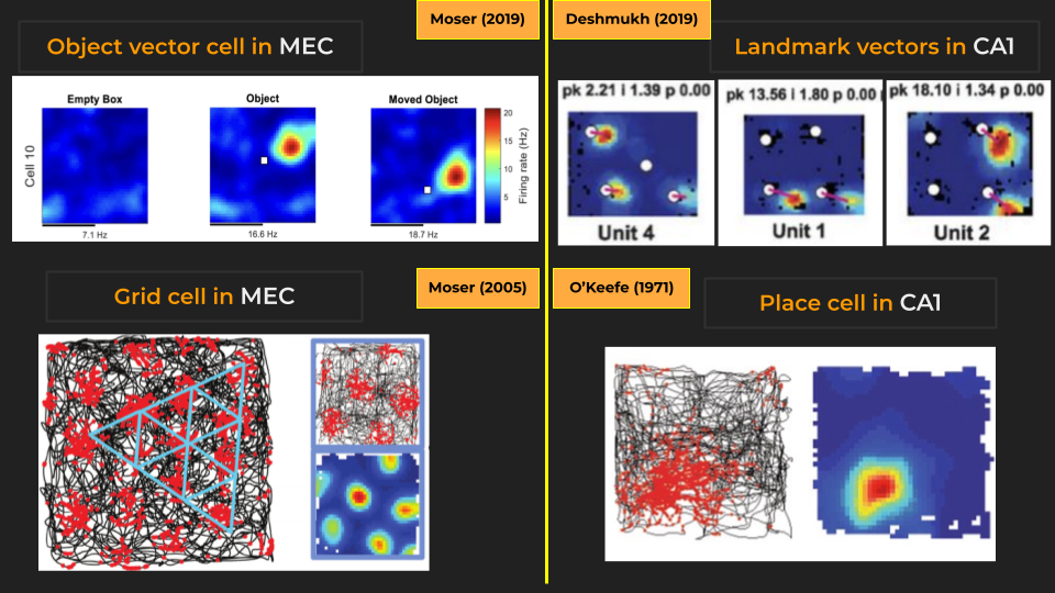 GitHub - jarvez31/Object_representation_model