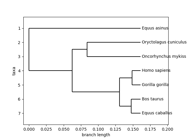 GitHub - aidanccraft/Codon-Bias-Phylogeny