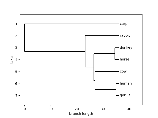 GitHub - aidanccraft/Codon-Bias-Phylogeny