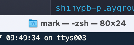 Proxy icon in title bar · Issue #509 · warpdotdev/Warp · GitHub