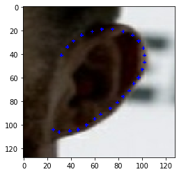 Regarding Ear Landmark Dataset · Issue #38379 · tensorflow/tensorflow ...