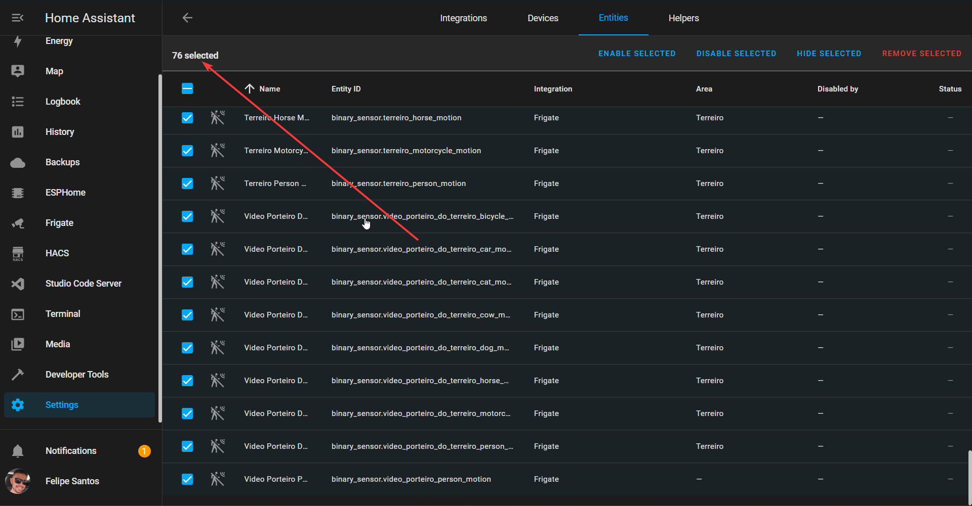 Add icons for binary_sensors · Issue #318 · blakeblackshear/frigate-hass-integration · GitHub