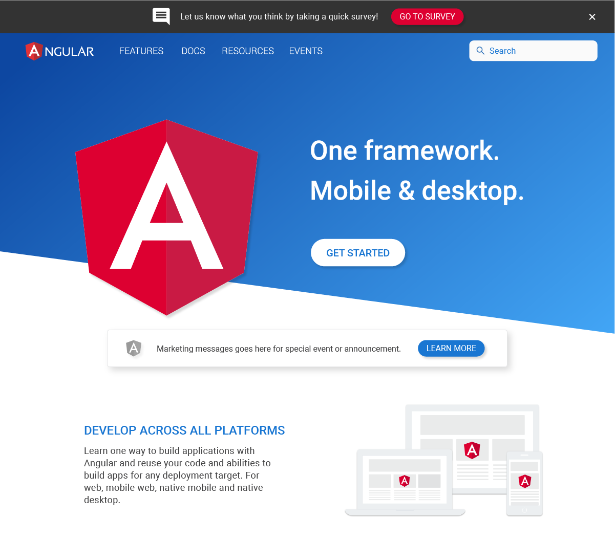 AIO: Add developer survey link to top of pages · Issue #21094 · angular/angular · GitHub