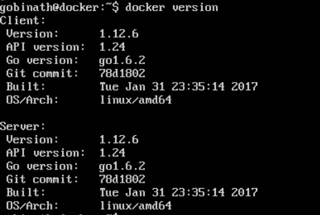 unable to launch nginx localhost after starting the webserver · Issue ...