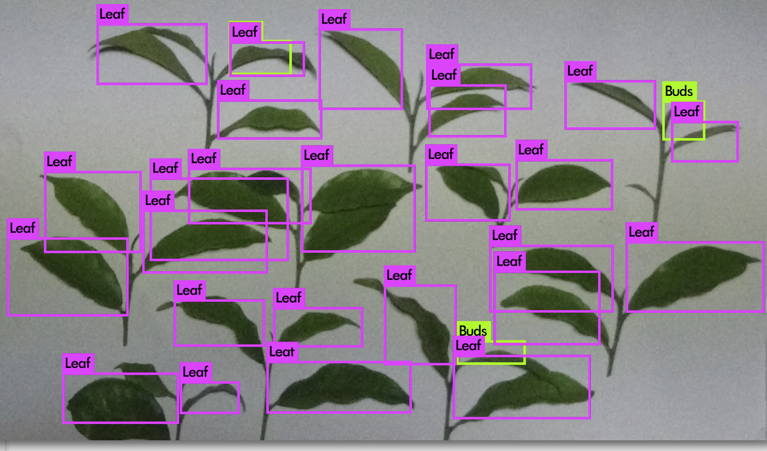 Issue While Testing Through A Video File · Issue 1343 · Pjreddie Darknet · Github