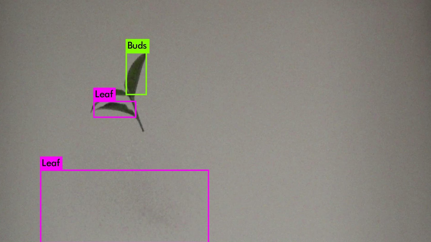 Issue While Testing Through A Video File · Issue 1343 · Pjreddie Darknet · Github