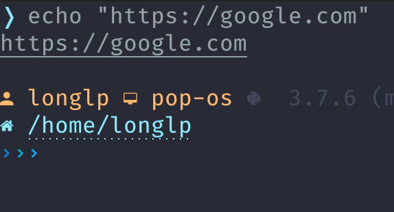 Enable POWERLEVEL9K_DIR_HYPERLINK made directory have dot line under ...