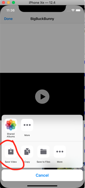 IOS save video crash · Issue #184 · fluttercommunity/flutter_downloader · GitHub