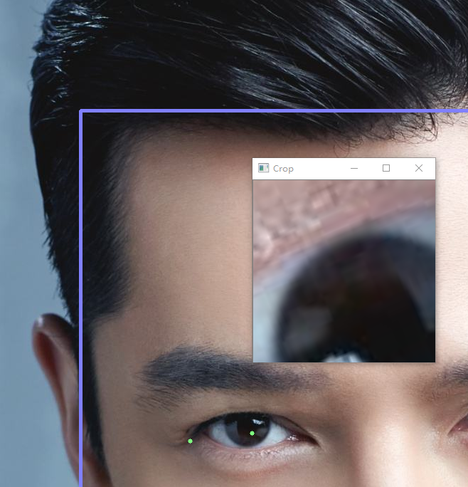 CropFace函数截取的不是人脸 · Issue #95 · seetafaceengine/SeetaFace2 · GitHub