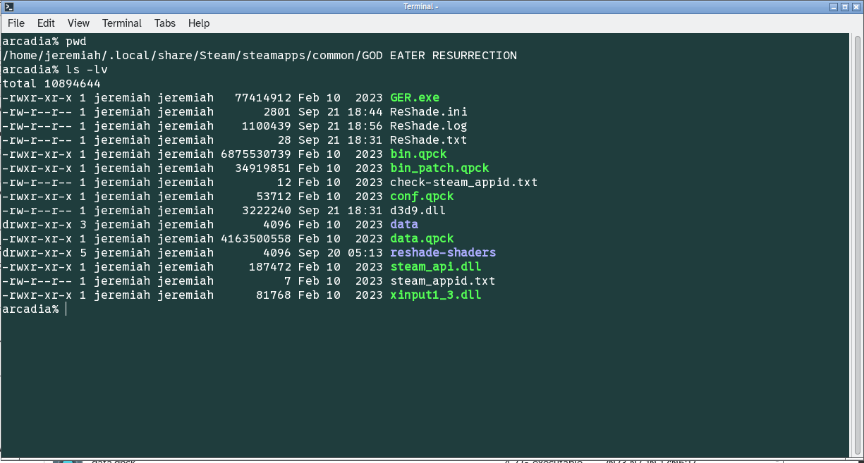 Problems with STL, Proton-TkG, and Winesync (feat. God Eater: Resurrection) · Issue #913 ...