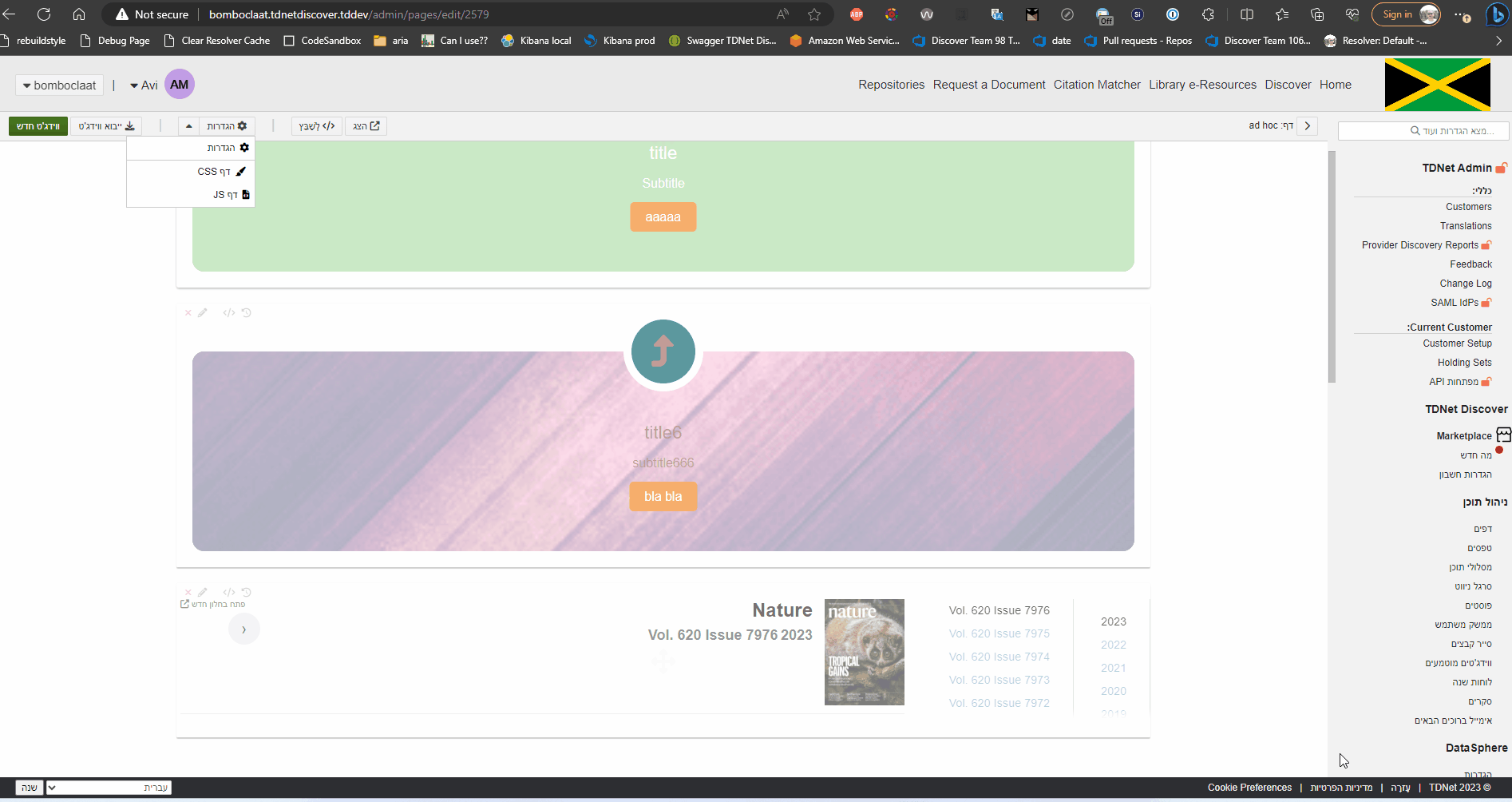 [Bug] The editor adds a lot of blank horizontal space when direction is RTL · Issue #4141 ...