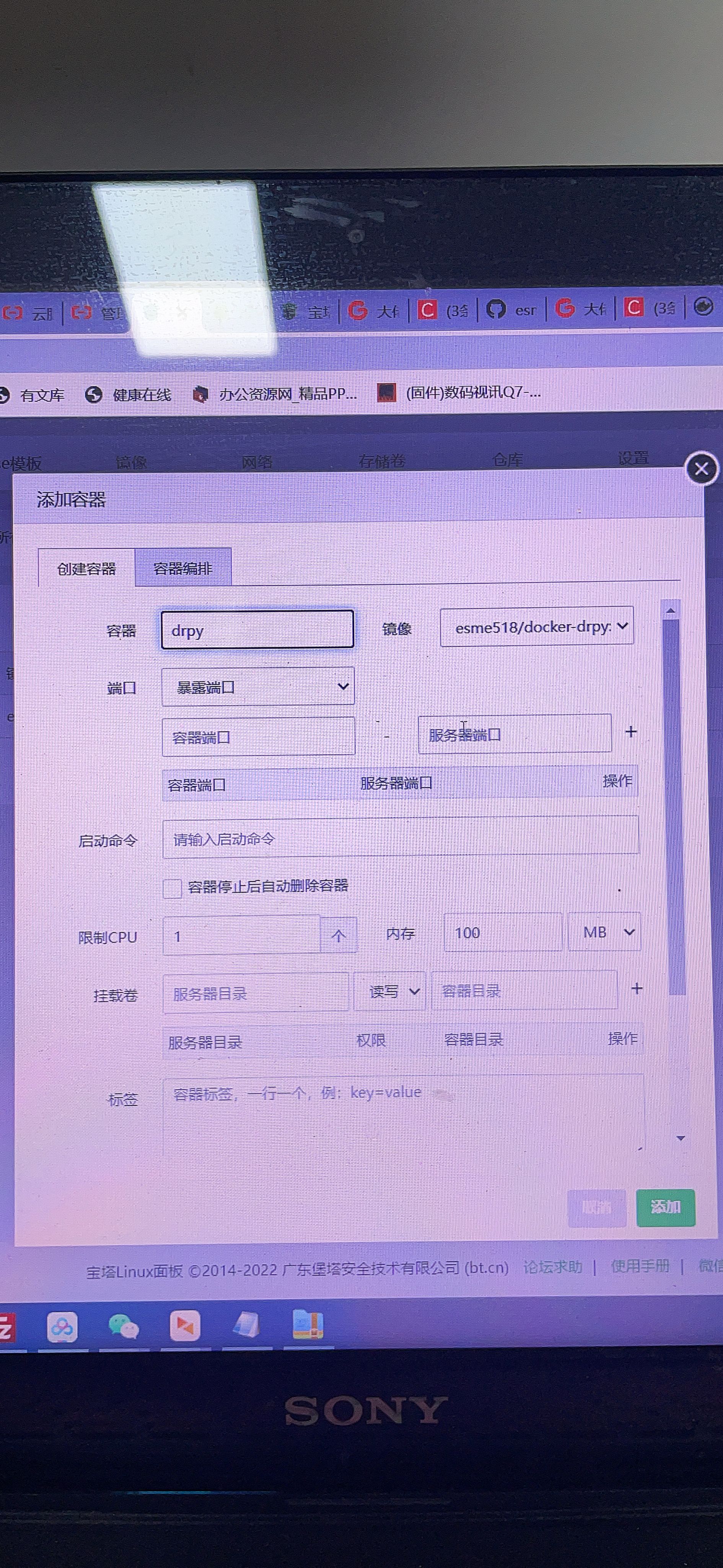 大佬您好，这个能在宝塔docker中使用吗，应该怎么填，谢谢 · Issue #2 · esme518/docker-drpy · GitHub
